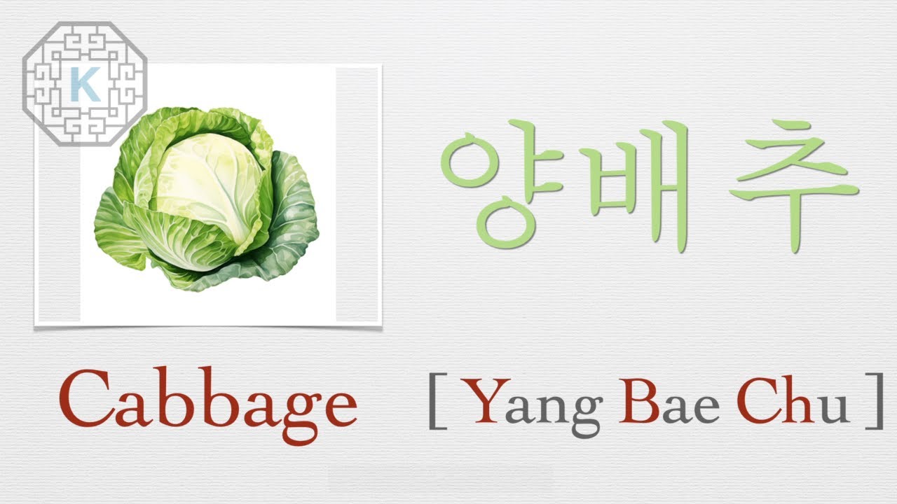 How to pronounce "Cabbage" (양배추) in Korean | Koreanescent - YouTube