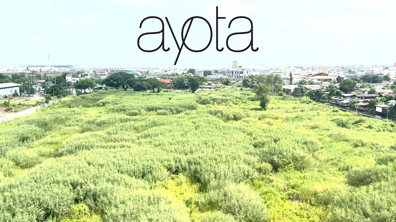 Ayota - Fading Fields - YouTube