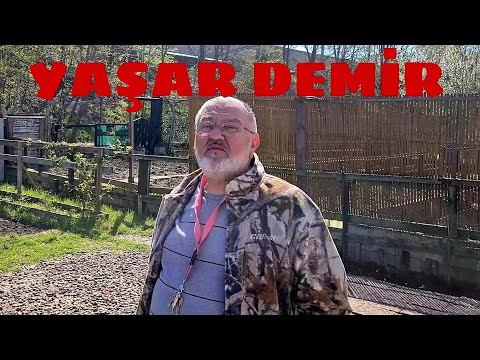 YAŞAR DEMİR - YARIM DÜNYA KUŞLARI