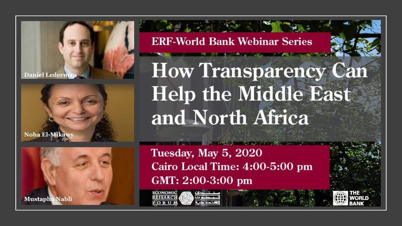 How Transparency Can Help the Middle East and North Africa - ERF-World ...