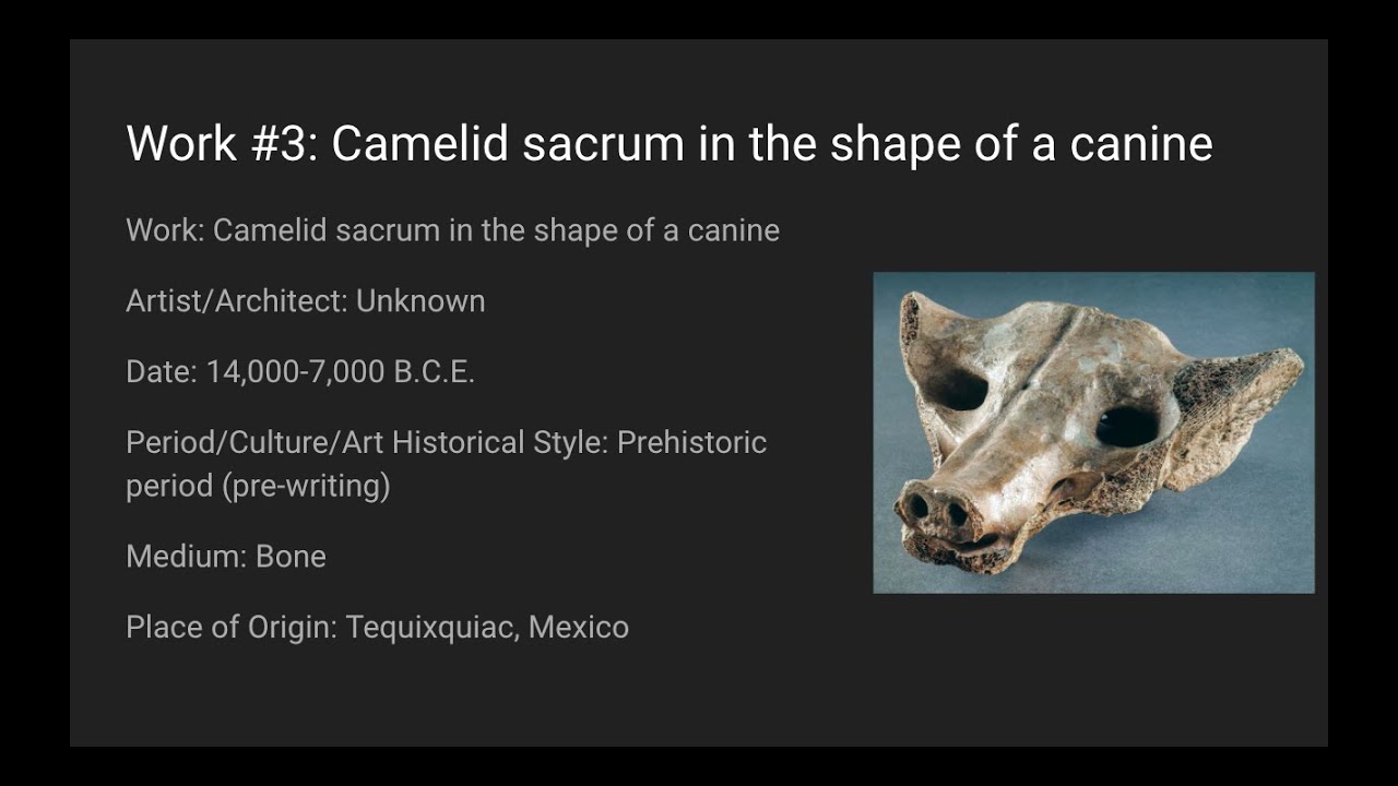 AP Art History Work 3 Camelid Sacrum In The Shape Of A Canine YouTube ap-art-history-work-3-camelid-sacrum-in-the-shape-of-a-canine-youtube