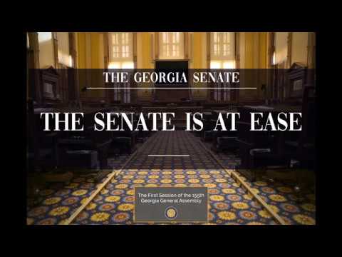 Georgia Senate 2019: Day 39, Afternoon Part Two - YouTube