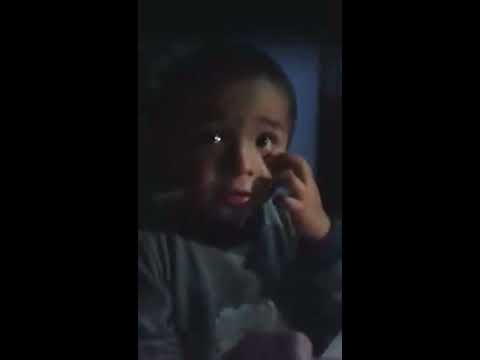 Kemence  LAZ USAGI EMIR