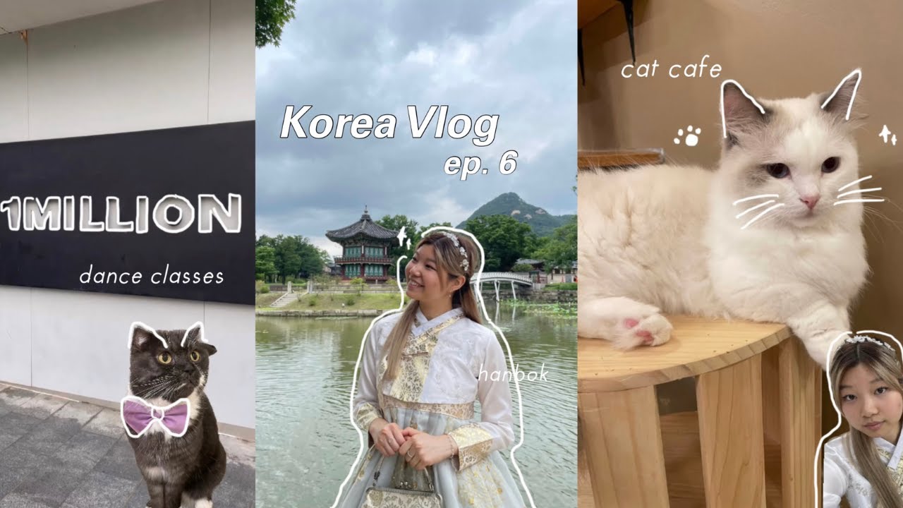 Korea Vlog ep 6: cat cafe, going to 1 million & ygx dance studio ...