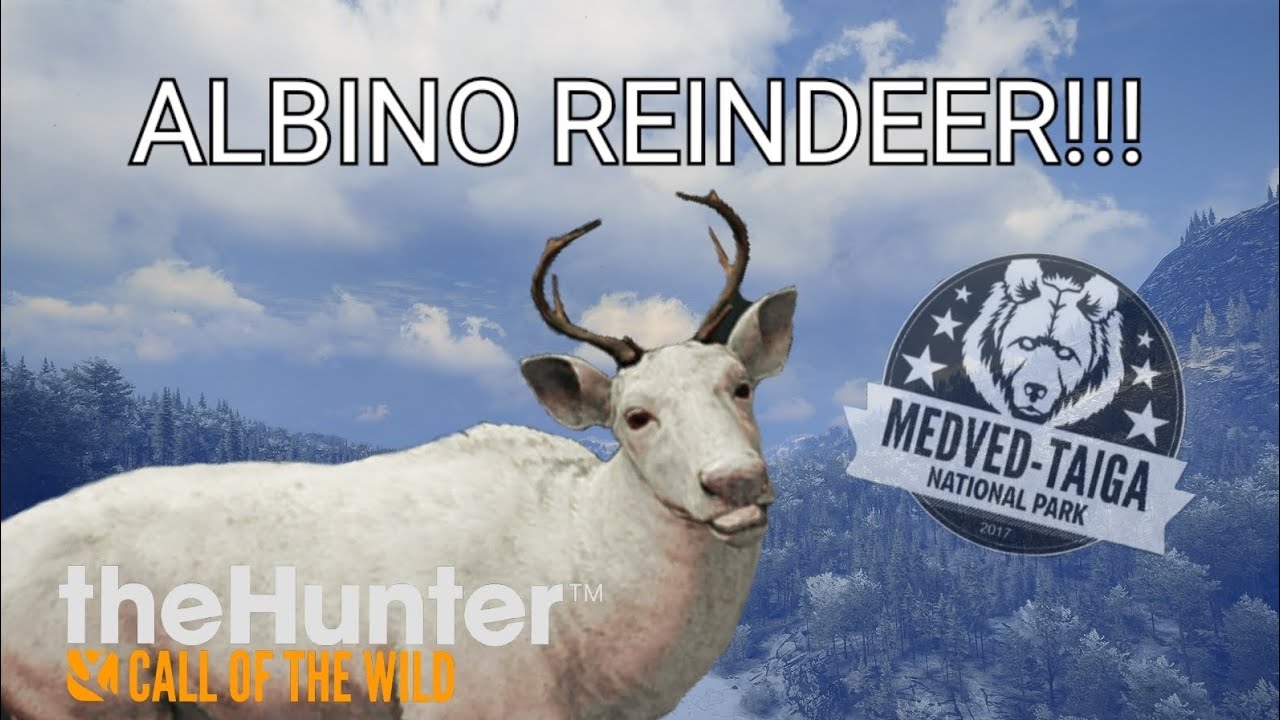 Reindeer Hunt On Medved Taiga+ Getting My First Rare Reindeer!!! Call ...