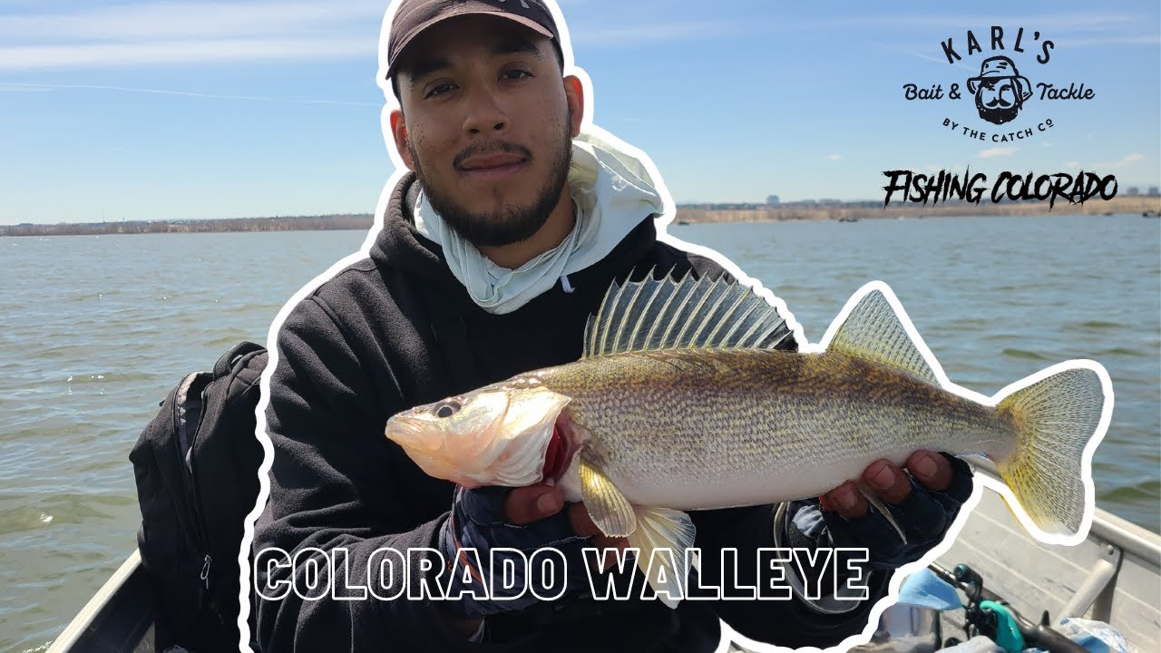 Walleye Fishing in Colorado - YouTube