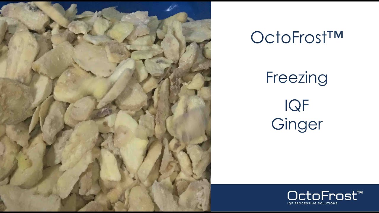 OctoFrost™ IQF Ginger - IQF Freezer Benefits - YouTube