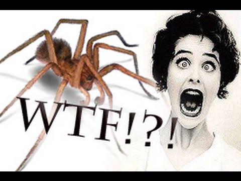 Scary Magic - YouTube