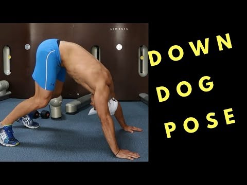 Male | Down Dog Pose | Stretching & Yoga