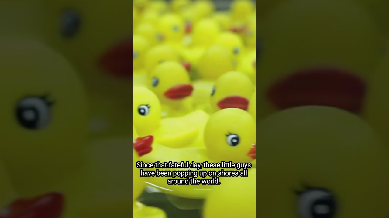 28,000 rubber ducks were lost at sea in 1992 and are still being ...