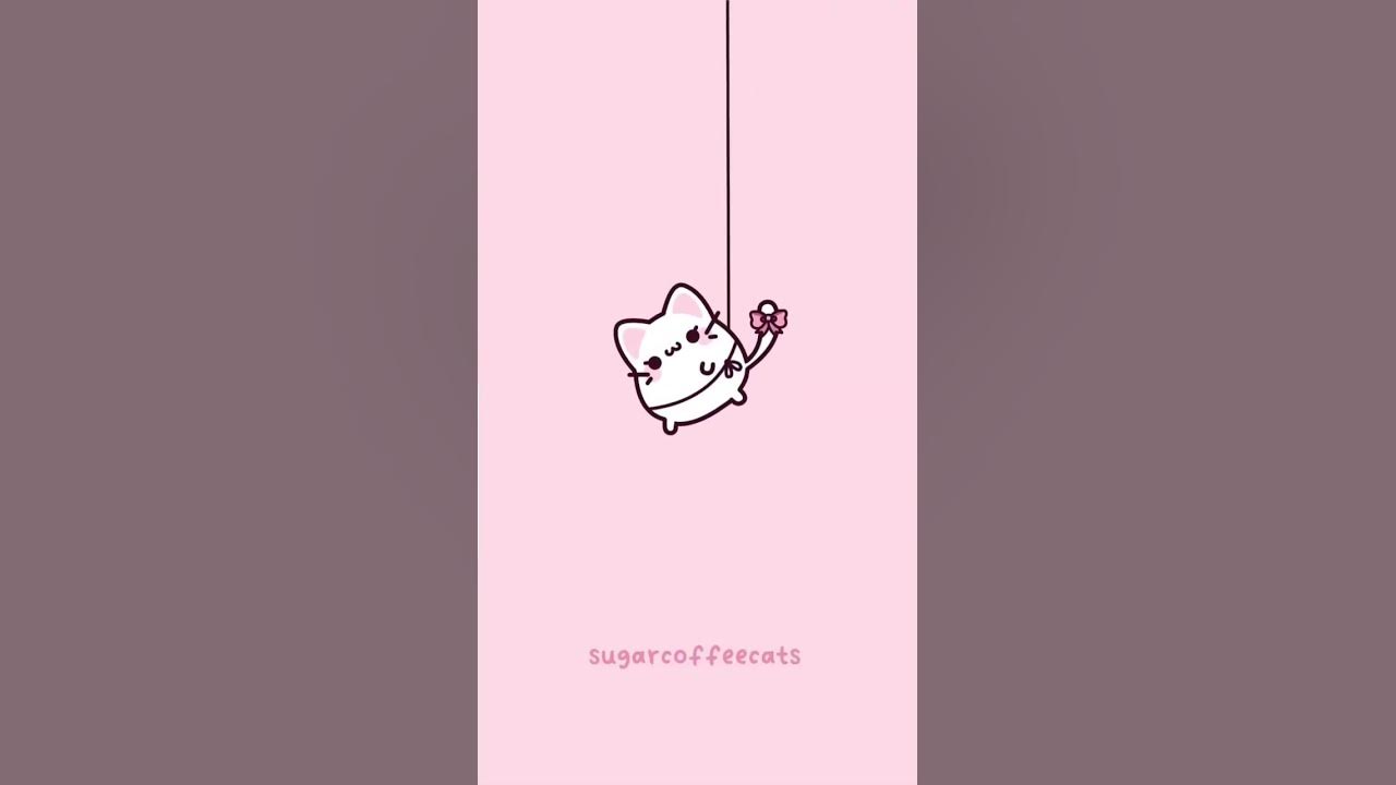 Hewwo uwu meow meow #cat - YouTube