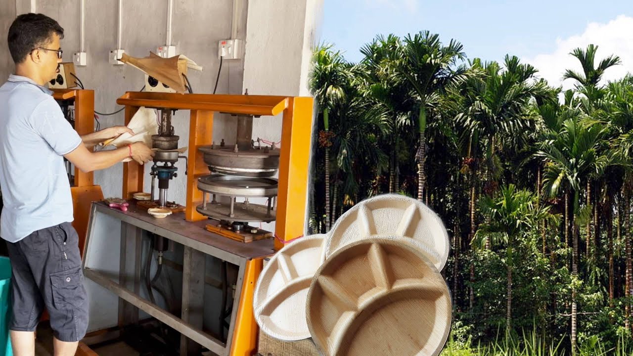 Eco-Friendly Tableware: The Amazing Process of Making Areca Leaf Plates ...