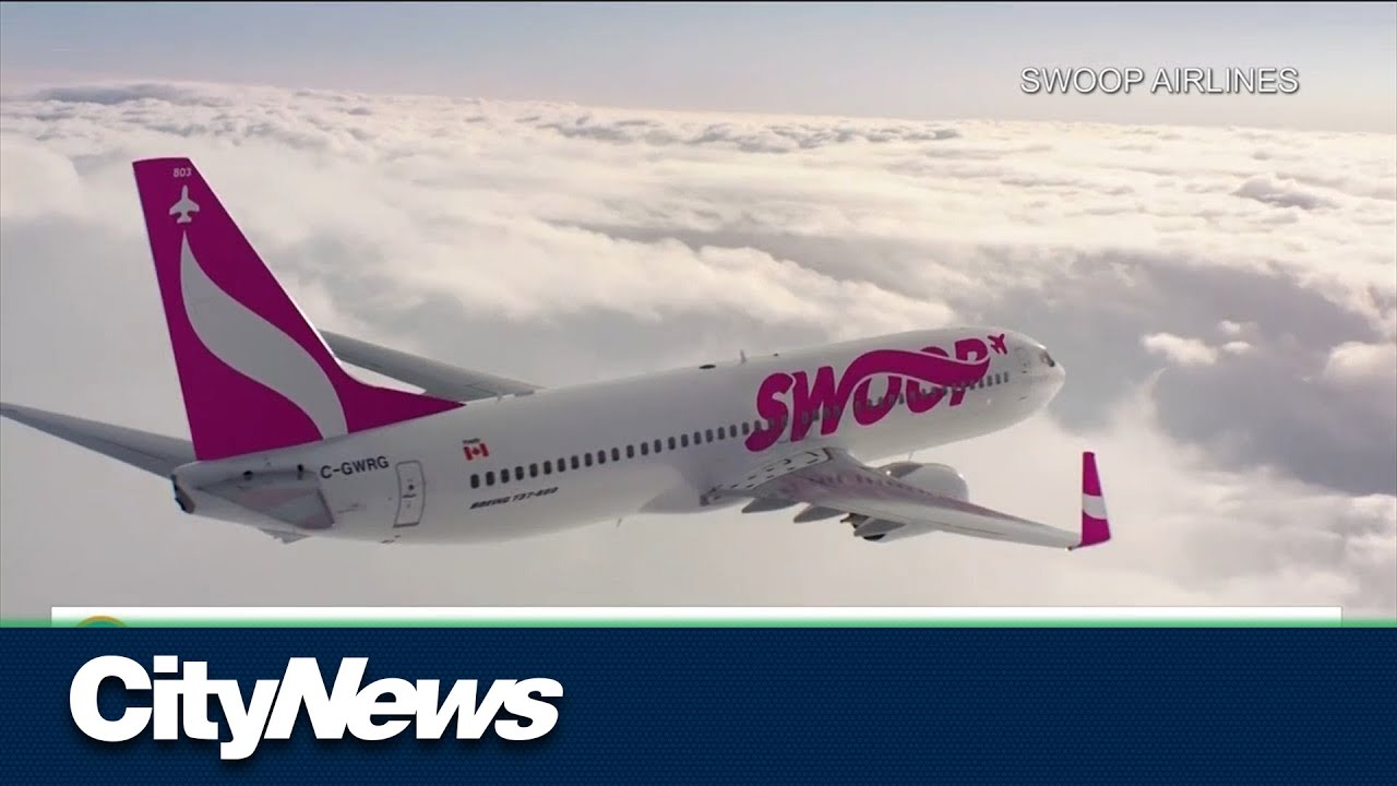 CityBiz: The end of Swoop Airlines? - YouTube