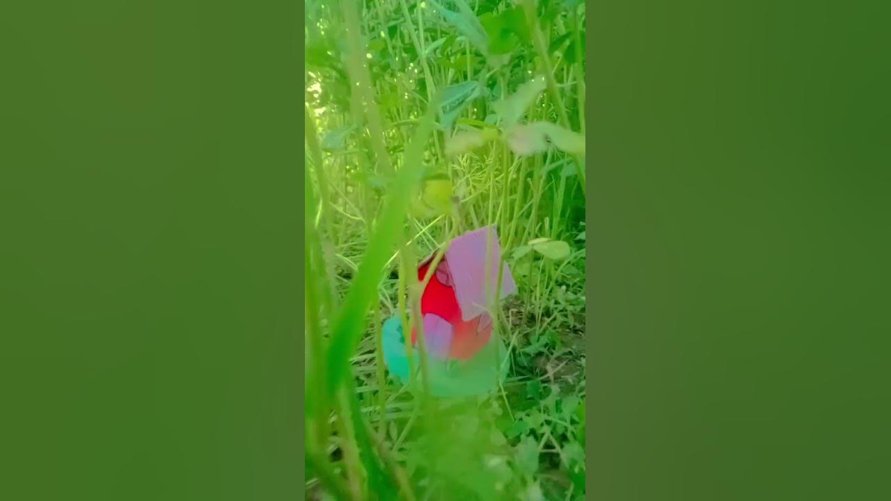 Sifa art craft - YouTube