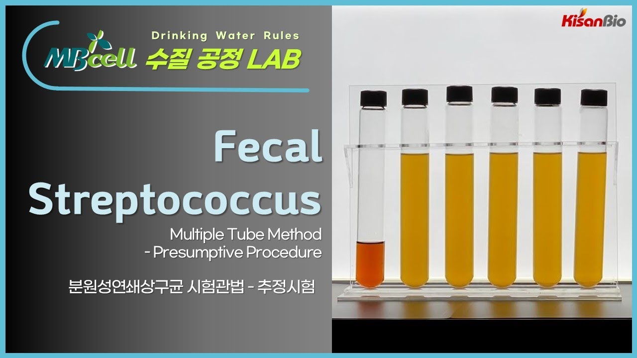 MBcell 먹는물수질공정시험기준 분원성연쇄상구균-시험관법 추정시험 실험하기 ! (Fecal Streptococcus ...