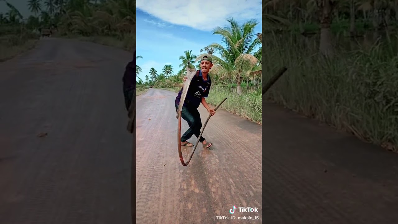 Meme lucu pecinta ular kobra - YouTube