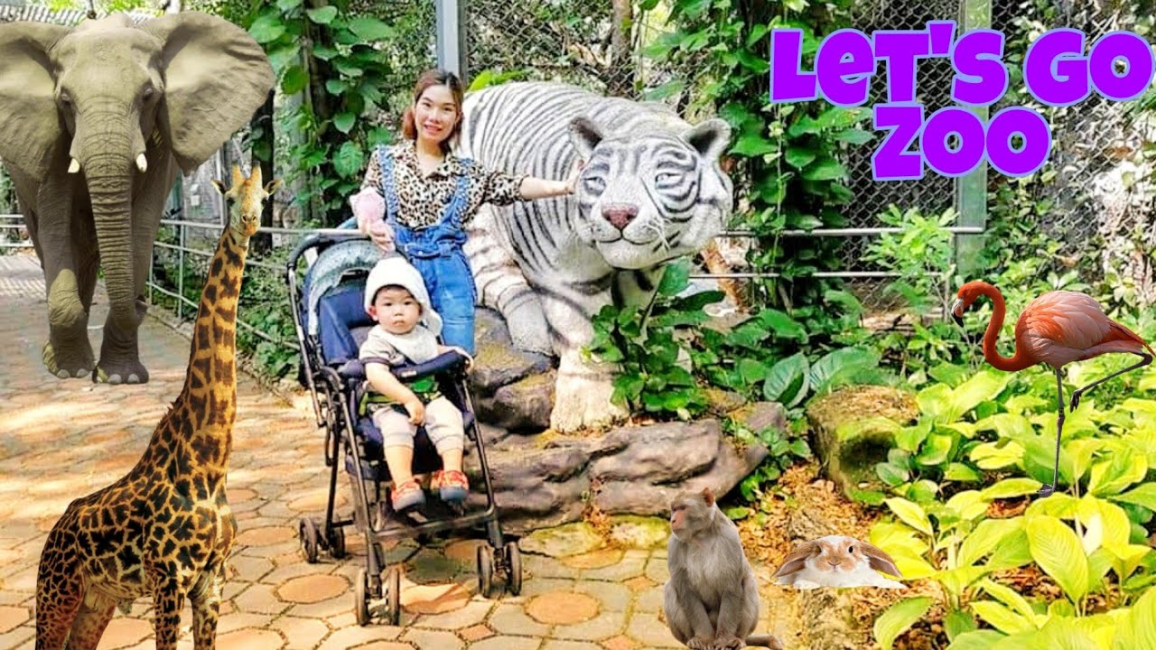 Let's go Zoo - YouTube