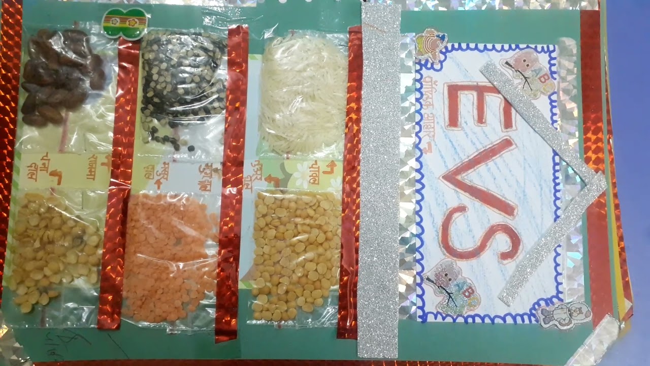 MDP file (multidisciplinary project file)class 4 topic* FOOD - YouTube