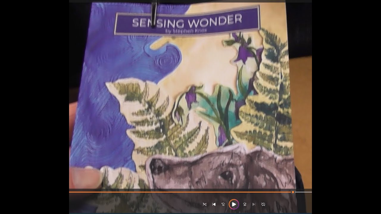 'Sensing Wonder' Book Launch Collection of Poems by Belfast Poet ...