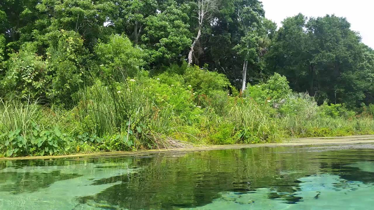 Weeki Wachee State Park Lazy River - YouTube
