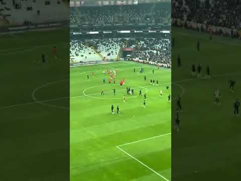 Alen Sahaya Üçlü Çektir Kartala