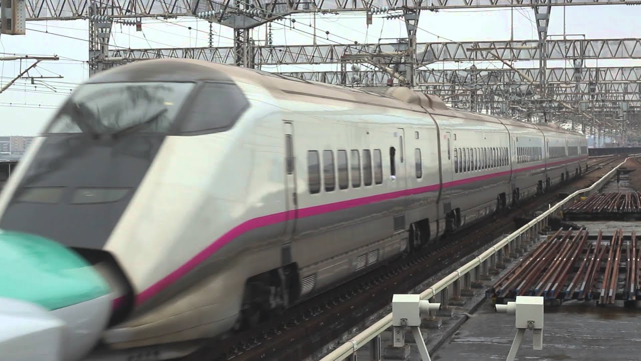 E5系+E3系R22編成 大宮駅到着 東京ゆき - YouTube