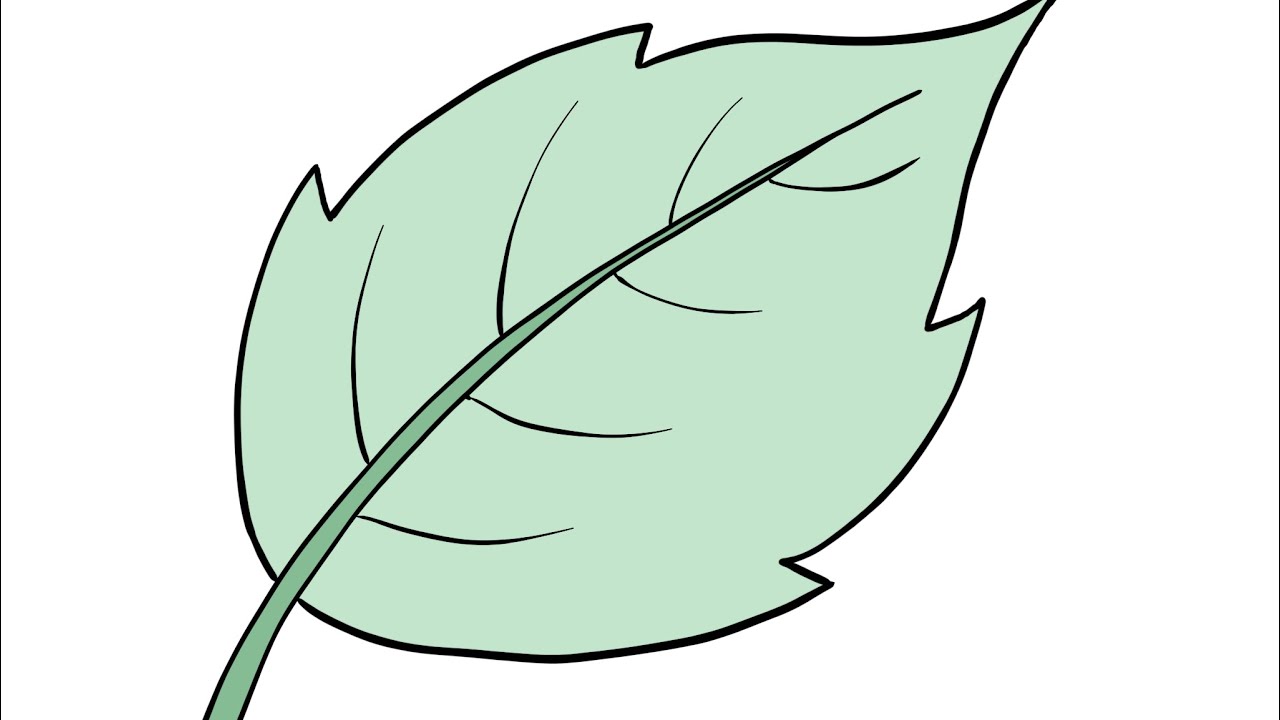 How to Draw A LEAVE - YouTube