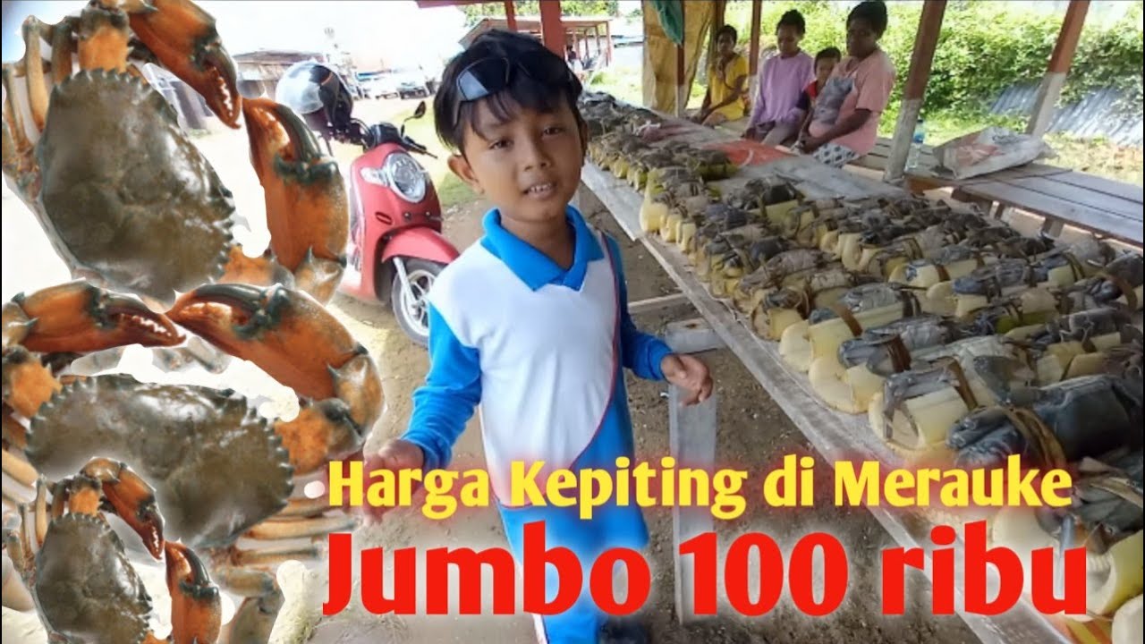 Explore Merauke, Harga kepiting 100 rb # Dimaz04 Official - YouTube