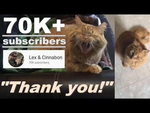 70,000+ Subscribers, Thank You Very Much! - YouTube
