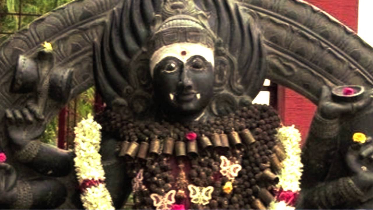 Tribute to Kala - Paravai Muniyamma - YouTube