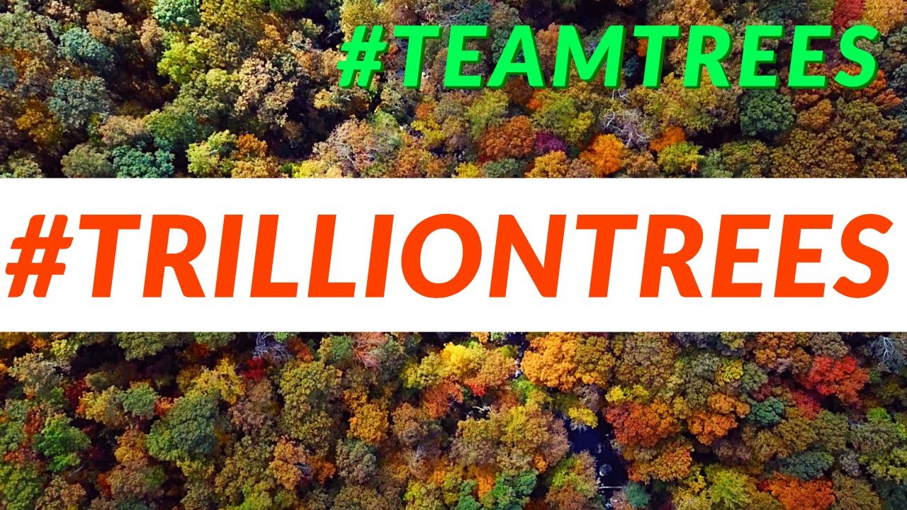 Why Stop at 20 Million Trees? Let's Plant 1.2 Trillion! | #TeamTrees ...