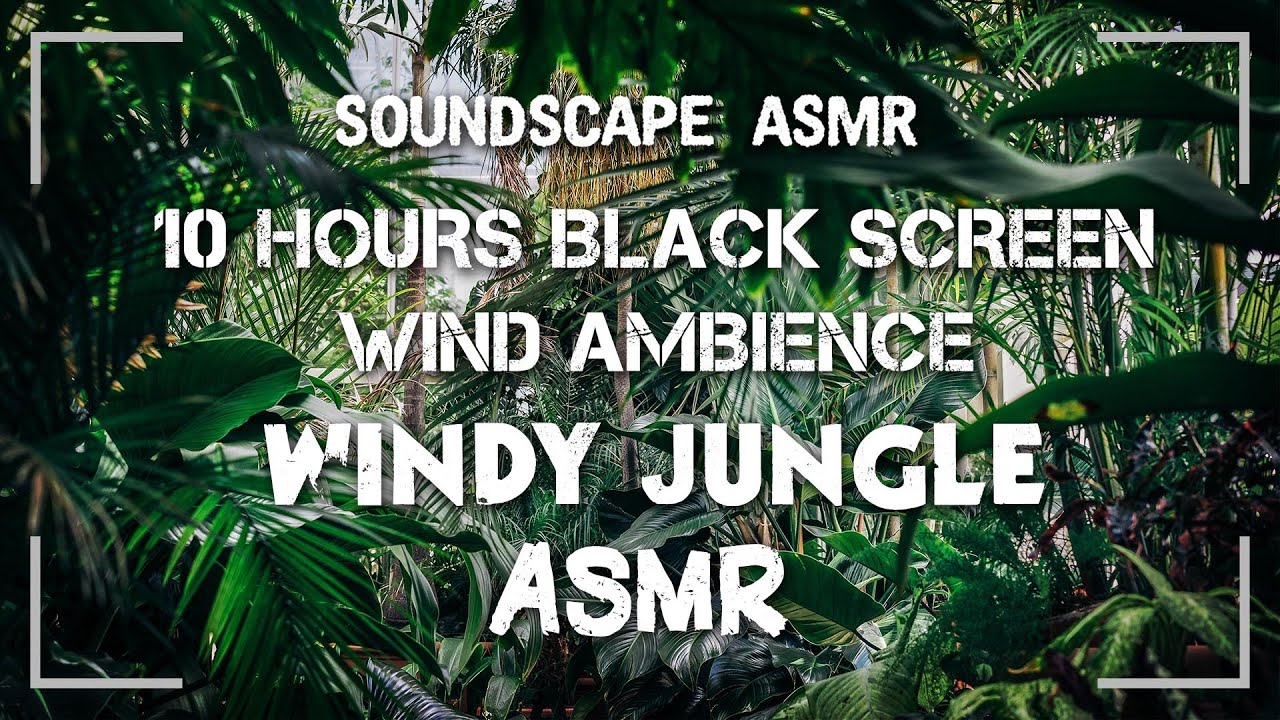 WINDY JUNGLE: 10 HOURS ASMR Ambient Rain to SLEEP, RELAX, MEDITATE ...