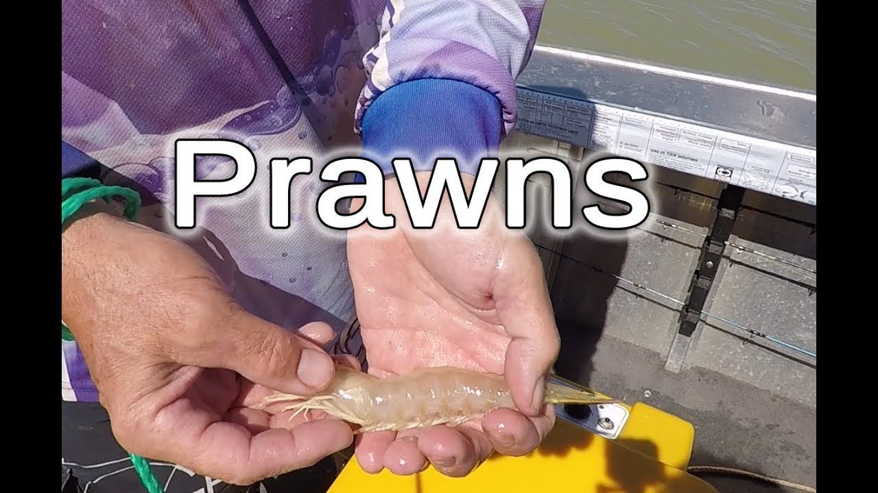 Exmouth Gulf Fishing - YouTube