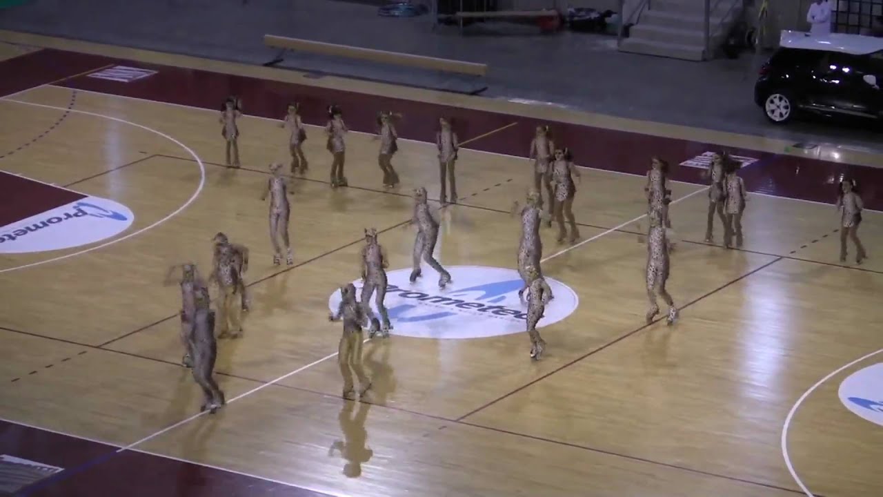 Giocagin 2010, la caccia Conero Roller Palarossini di Ancona - YouTube