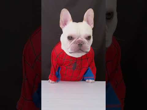 October 14th #shorts #funny #reaction #comedy