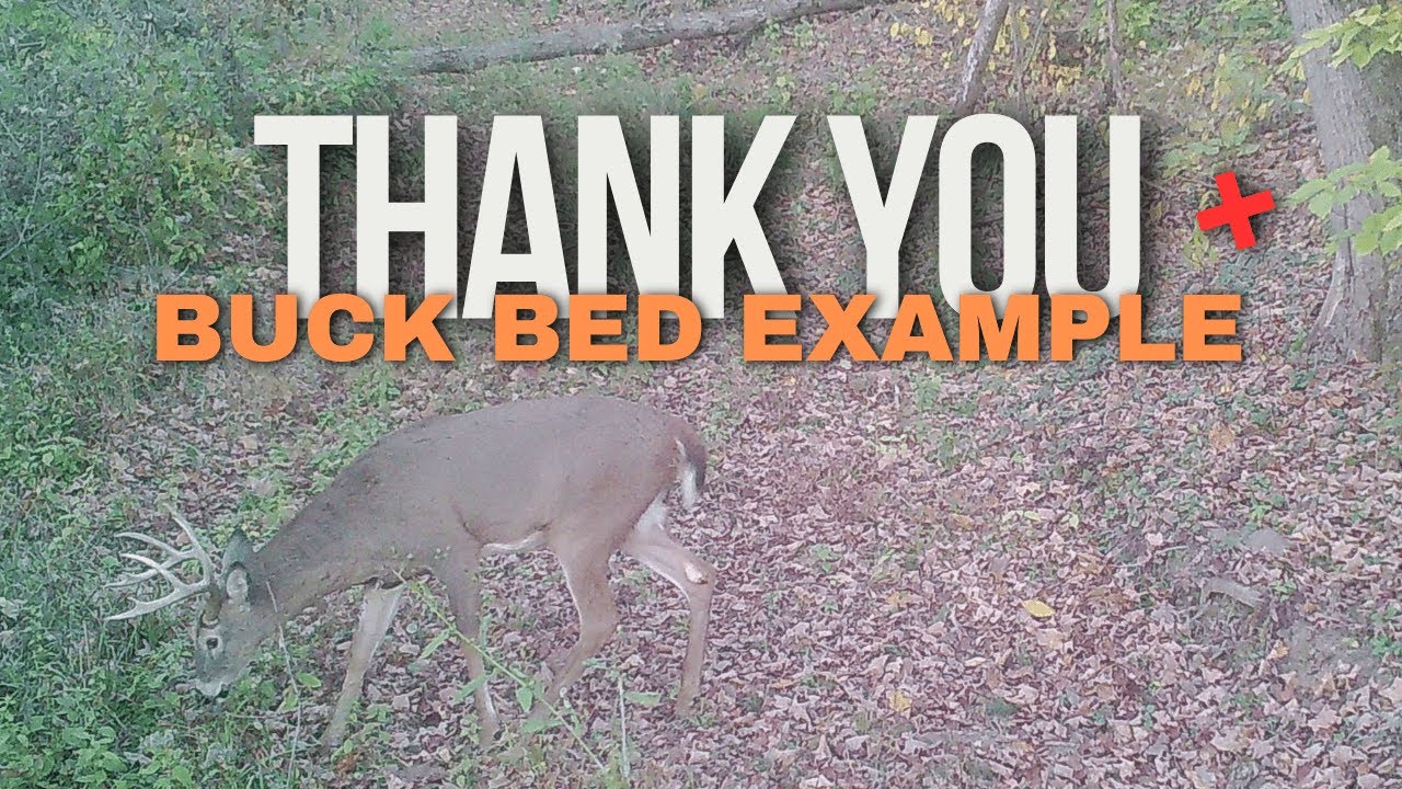 Real Buck Bed Example - Appreciation - YouTube
