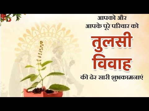 Akshaya Sharma is live! Welcome to my live stream support chalu hai ...