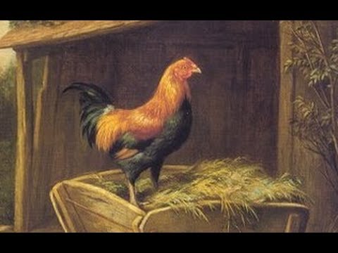 The Old Barn (1929) - Full Movie - YouTube