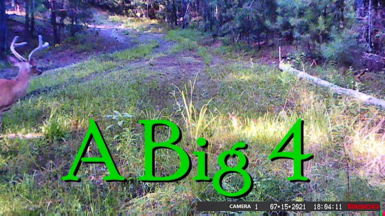 173 / A Big 4 (ALABAMA) - YouTube