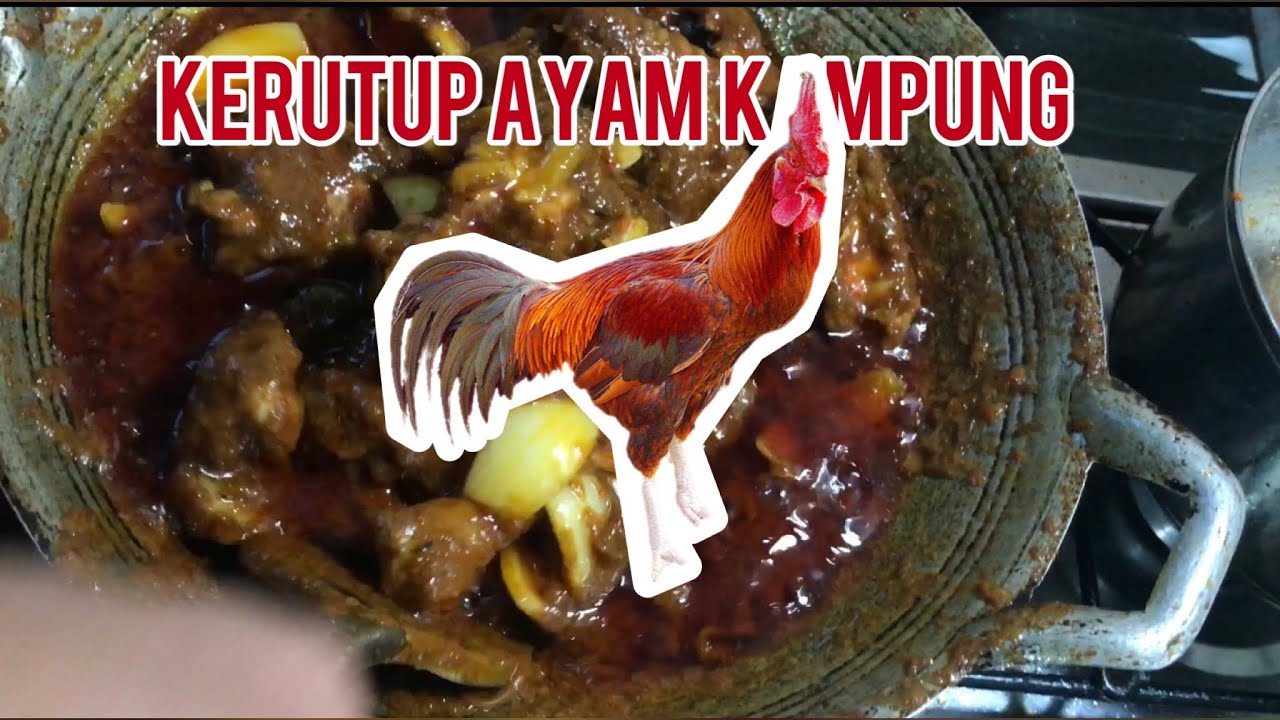 Kerutup/Kerutuk Ayam Kampung - YouTube