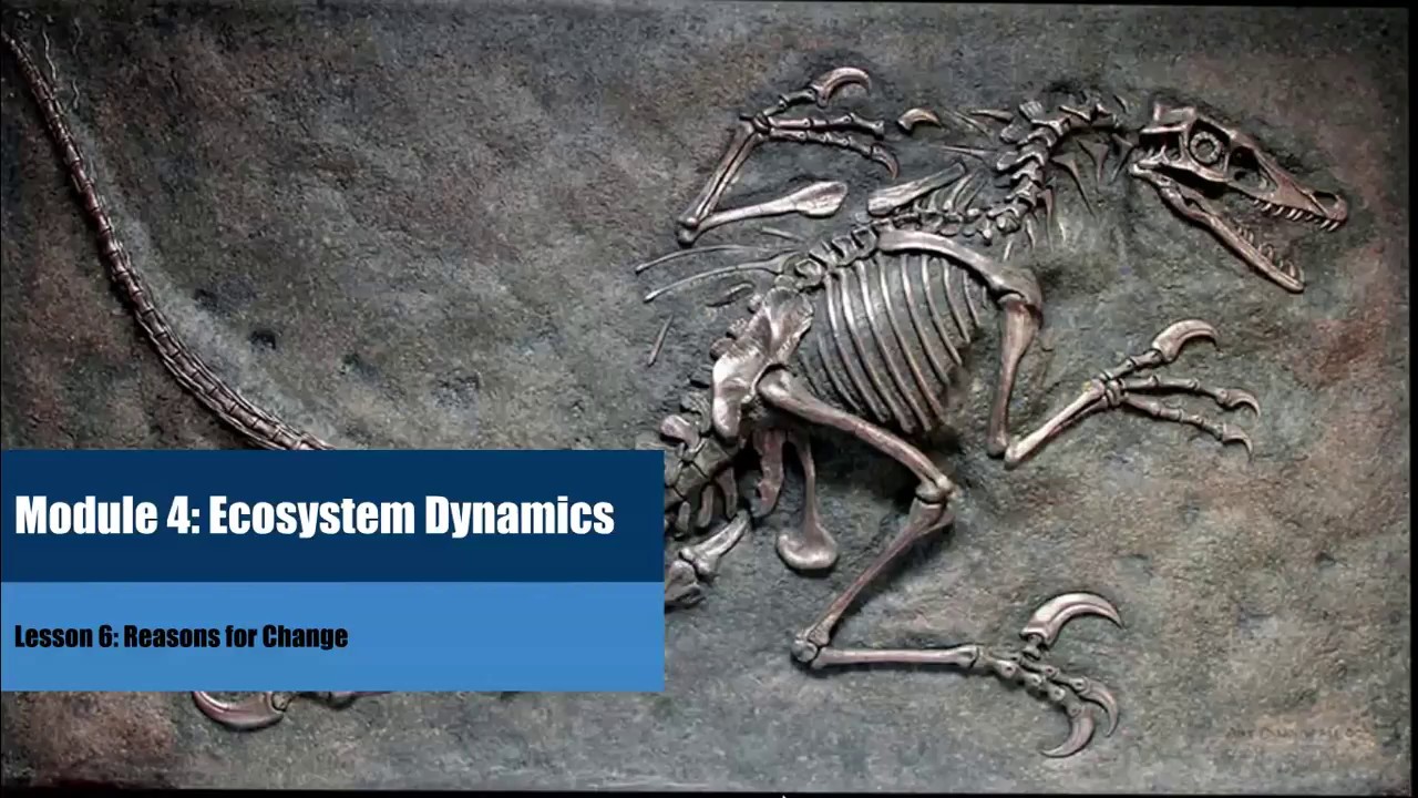 Module 4 Lesson 6 - YouTube