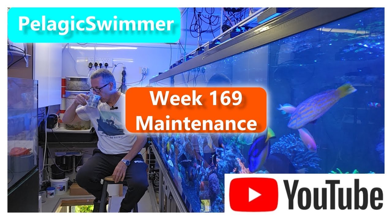 Week 169 Maintenance - YouTube