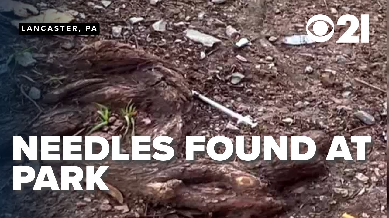 'Call the police': Police respond to reports of needles in public parks ...