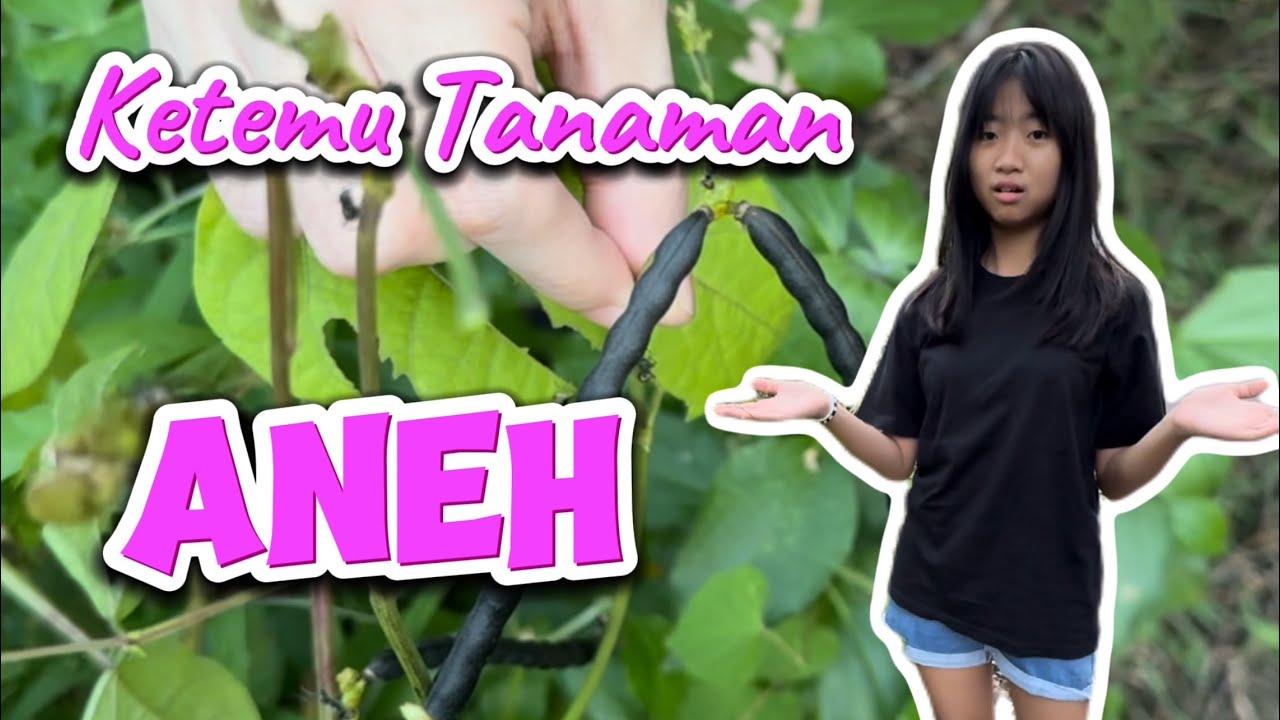 MALAH KETEMU TANAMAN TANAMAN ANEH - YouTube