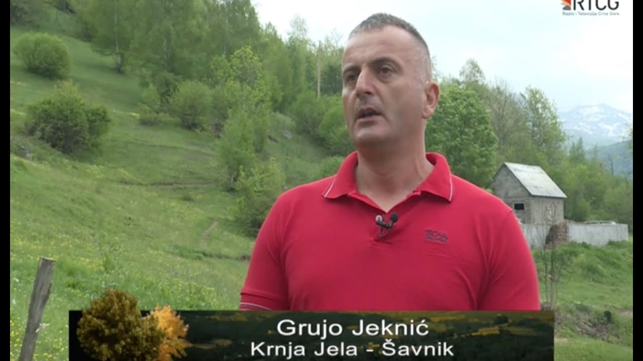 KRNJA JELA PORODICA JEKNIC PROIZVODNJA KUPUSA I KROMPIRA - YouTube
