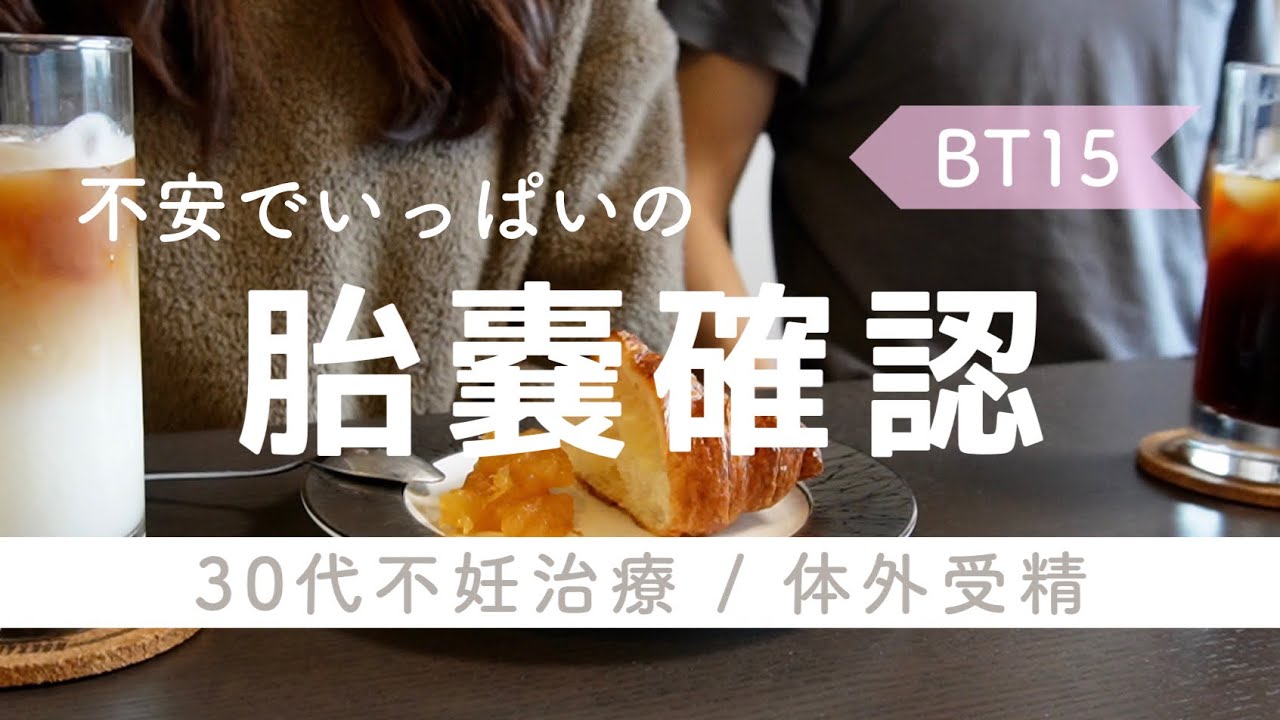 【不妊治療】BT15｜胎嚢確認の日｜長い長い1週間 - YouTube