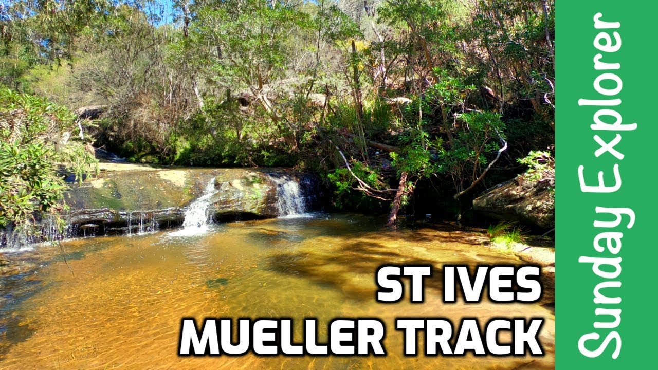 MUELLER TRACK KU-RING-GAI WILDFLOWER GARDENS, Sydney North Shore - YouTube