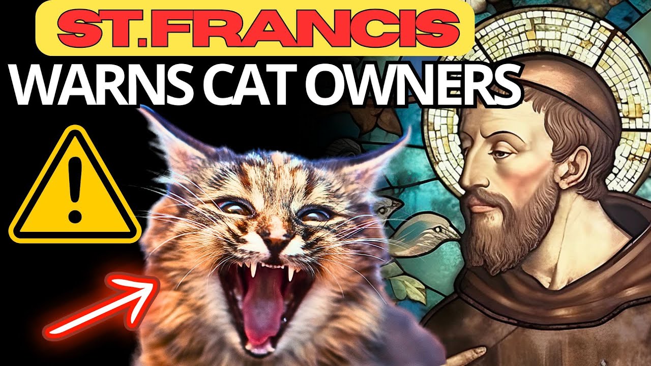 What did St. Francis predict for cat owners? Find out now! - YouTube