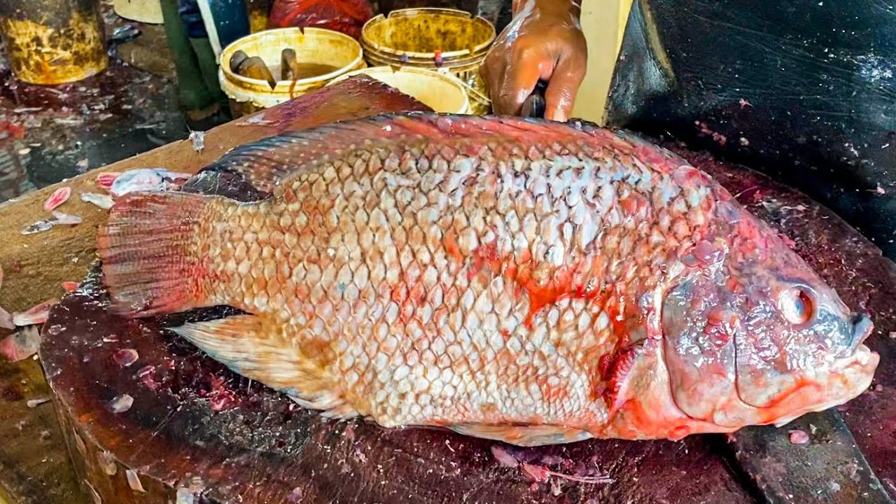 BIG TILAPIA FISH CUTTING BY FAST FISH CUTTER || AMAZING CUTTING SKILLS ...