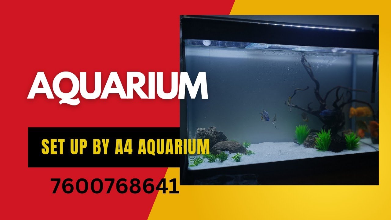 How to set up an aquarium: Step by step | A4 Aquarium | #aquariumsetup ...